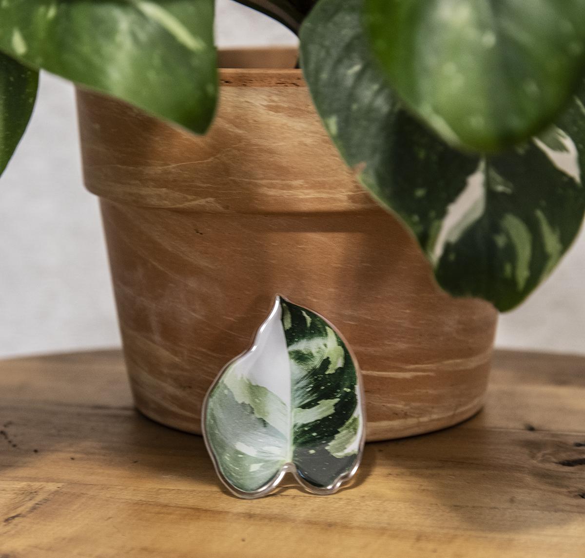 Philodendron White Princess Phone Grip - Smartass Plant Moms